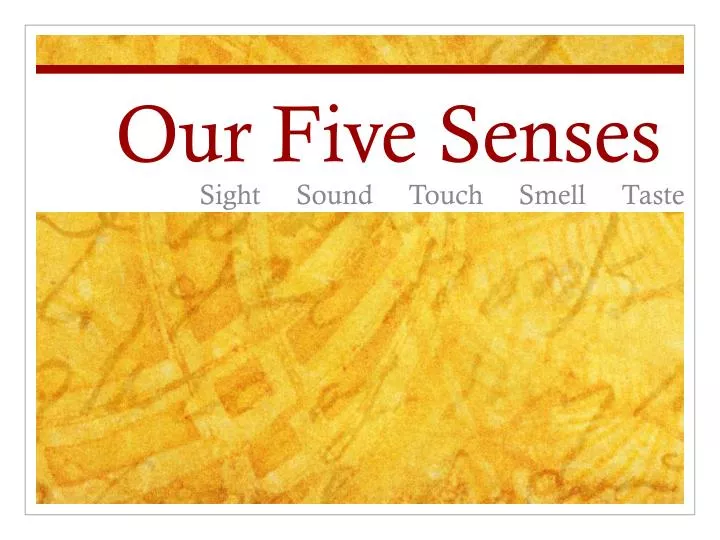 PPT - Our Five Senses PowerPoint Presentation, free download - ID:3781132