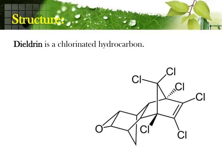 PPT - DIELDRIN Pesticide PowerPoint Presentation - ID:3782551