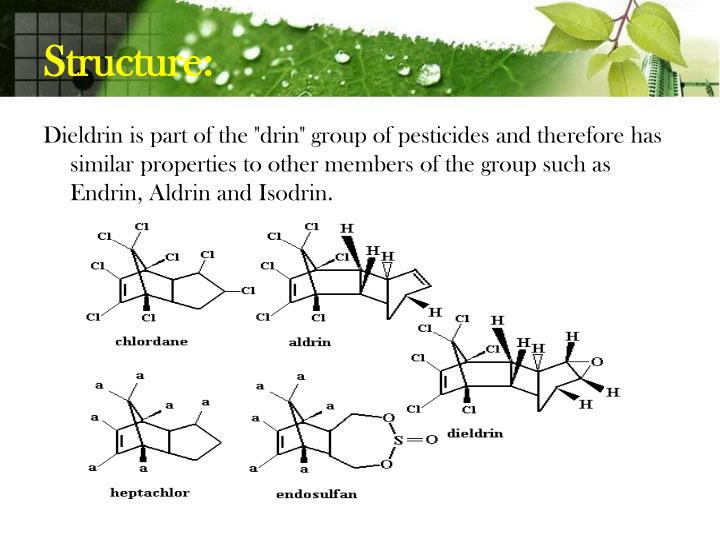 PPT - DIELDRIN Pesticide PowerPoint Presentation - ID:3782551