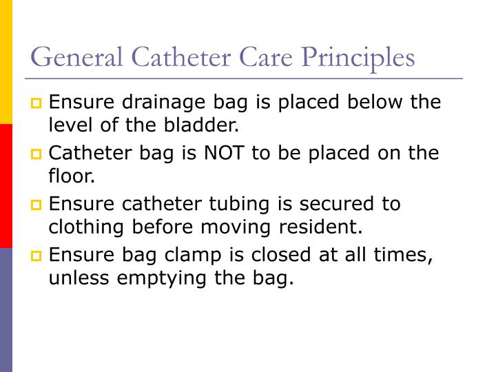 PPT - Urinary Incontinence: Changing Suprapubic Catheters PowerPoint ...