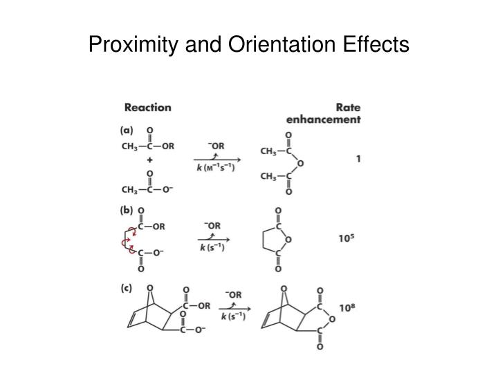 PPT - Enzyme Mechanisms PowerPoint Presentation - ID:3783127