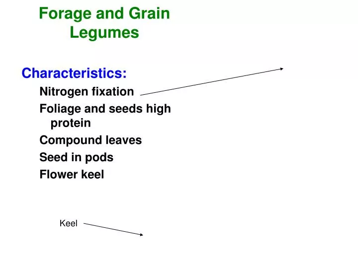PPT - Forage and Grain Legumes PowerPoint Presentation, free download ...