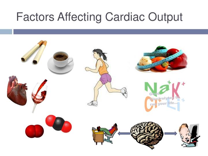 PPT - Blood Vessels & Circulation PowerPoint Presentation - ID:3784935