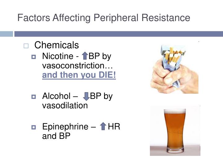 PPT - Blood Vessels & Circulation PowerPoint Presentation - ID:3784935