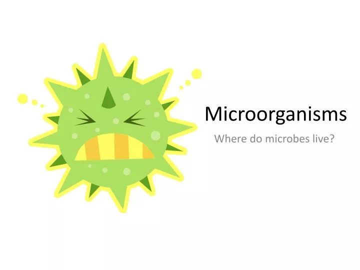 PPT - Microorganisms PowerPoint Presentation, free download - ID:3785202