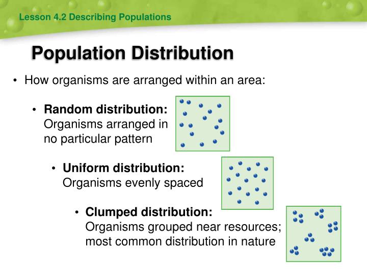 PPT - Levels of Ecological Organization PowerPoint Presentation - ID ...