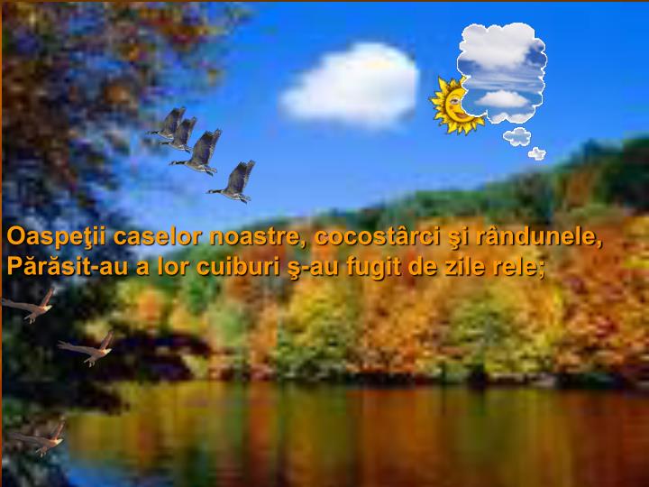 PPT - Sfarsit de toamna PowerPoint Presentation - ID:3786395