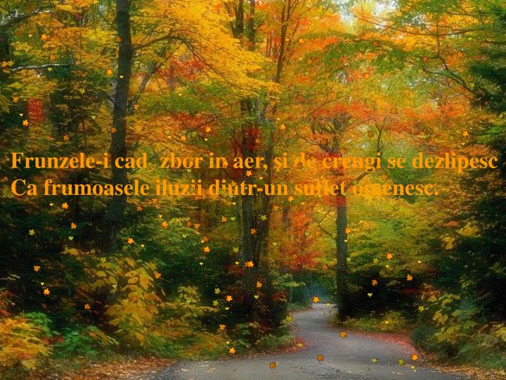 PPT - Sfarsit de toamna PowerPoint Presentation - ID:3786395