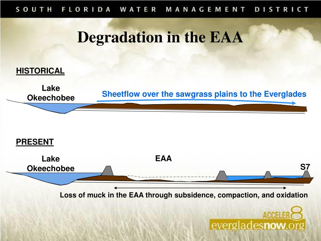 PPT - Everglades Agricultural Area Storage Reservoir A-1 30% Earthworks ...