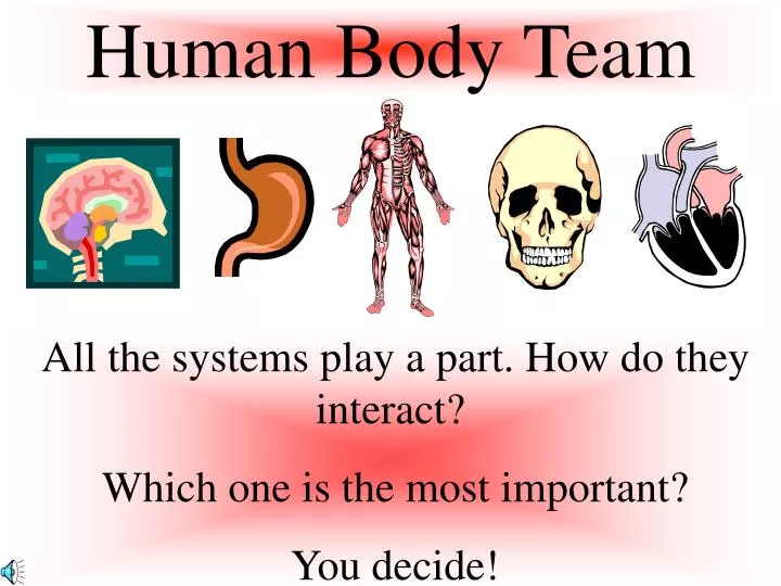 PPT - Human Body Team PowerPoint Presentation, free download - ID:3787007