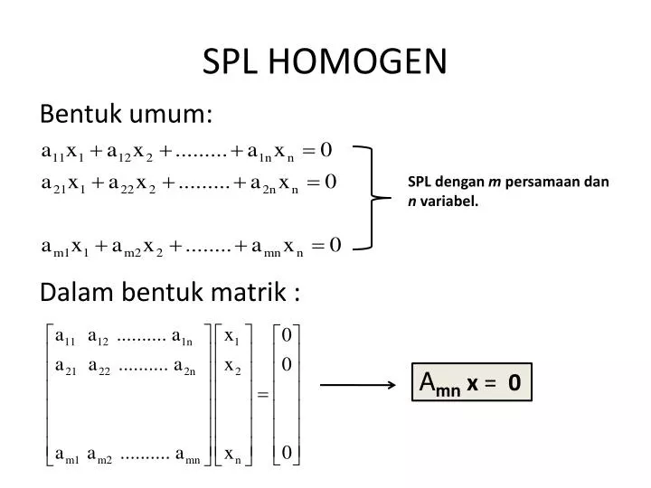 PPT - SPL HOMOGEN PowerPoint Presentation, free download - ID:3787388