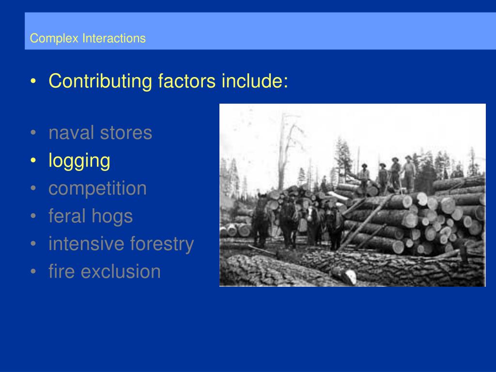 PPT - Disturbance Ecology: Complex Interactions PowerPoint Presentation ... PPT - Disturbance Ecology: Complex Interactions PowerPoint Presentation ...