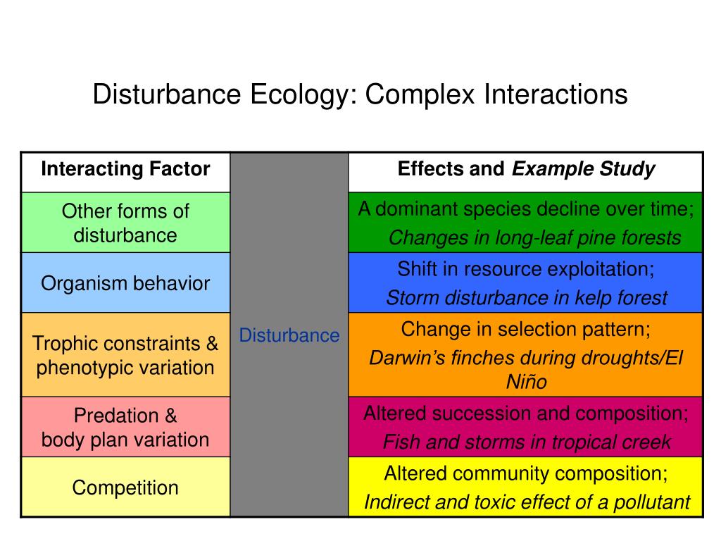 PPT - Disturbance Ecology: Complex Interactions PowerPoint Presentation ... PPT - Disturbance Ecology: Complex Interactions PowerPoint Presentation ...