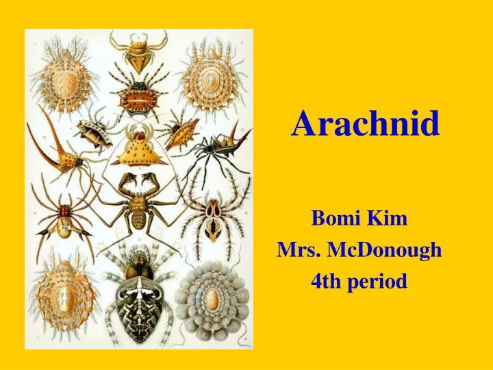 PPT - Arachnid PowerPoint Presentation, free download - ID:3789057