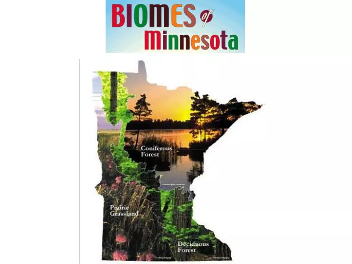 PPT - Scientific and Natural Areas found in Minnesota major biomes ...