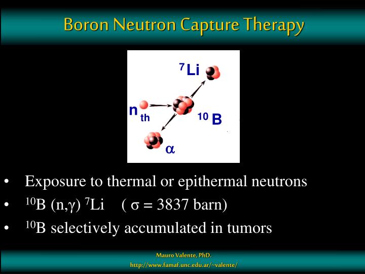 PPT - Boron Neutron Capture Therapy PowerPoint Presentation - ID:3789782