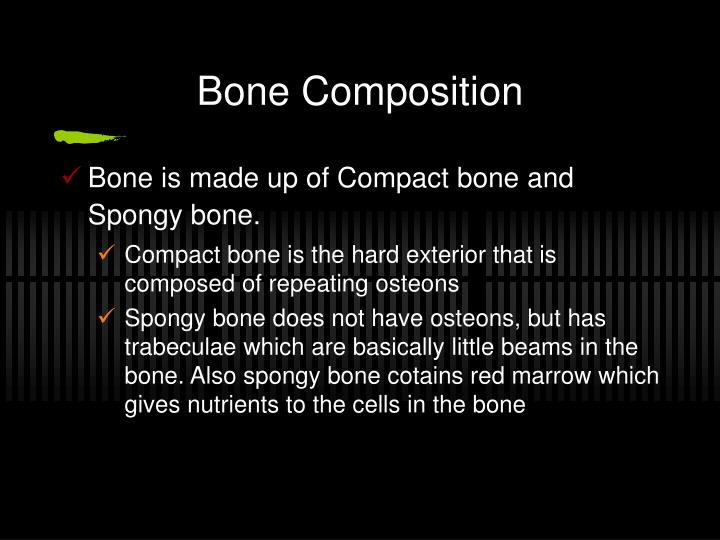 PPT - Skeletal System Anatomy PowerPoint Presentation - ID:3789887