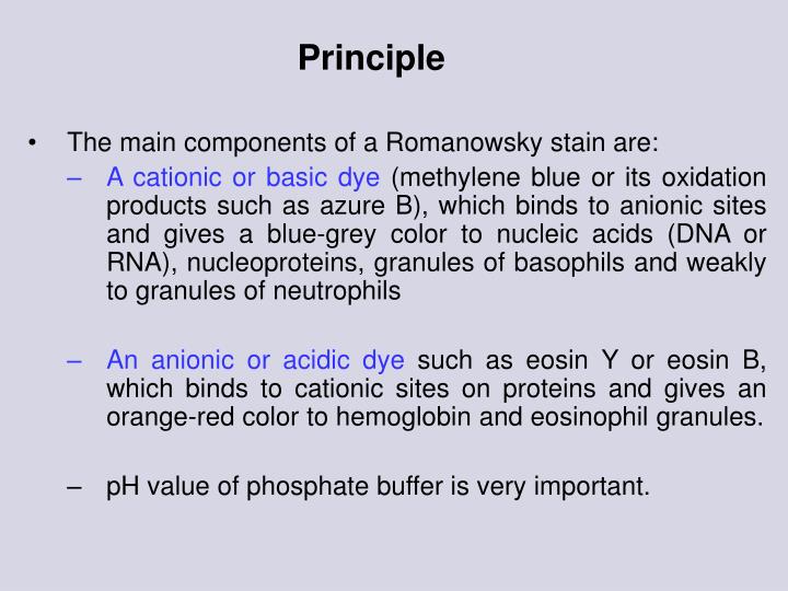 PPT - Romanowsky stains and Artefacts in blood films PowerPoint ...