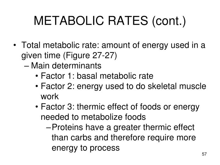 PPT - Chapter 27: Nutrition and Metabolism PowerPoint Presentation - ID ...