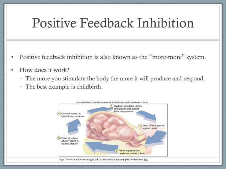 PPT - The Human Body PowerPoint Presentation - ID:3790967