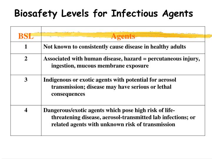 PPT - SAFE LABORATORY PRACTICE: MICROBIOLOGY LABORATORY PowerPoint ...