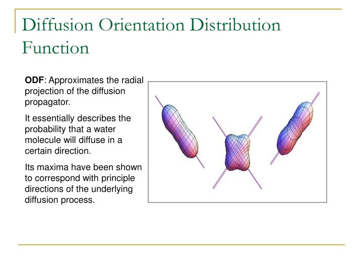 Ppt On Computing The Underlying Fiber Directions From The Diffusion