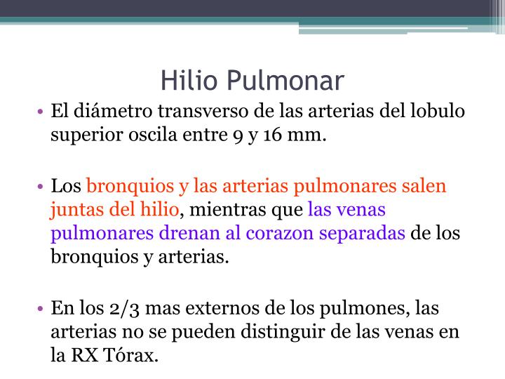 PPT - Anatomía Hiliar Pulmonar PowerPoint Presentation - ID:3793267