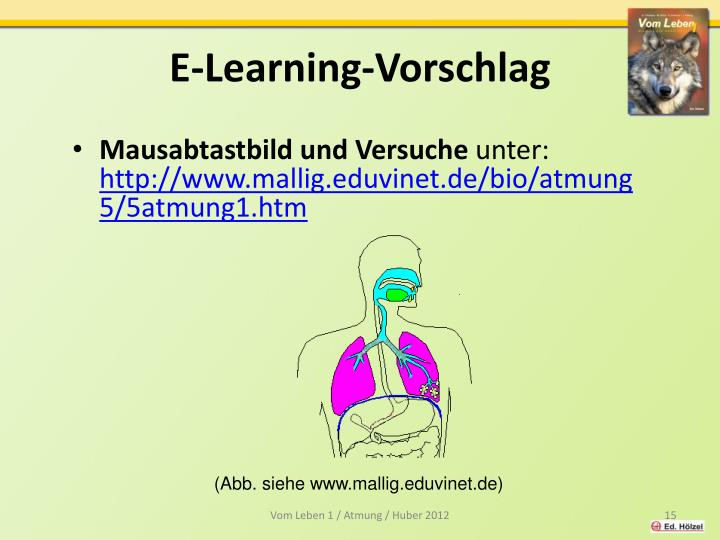 PPT - Die Atmung des Menschen PowerPoint Presentation - ID:3793409