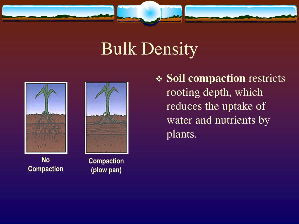 Soil Bulk Density Definition Soil Bulk Density Definition