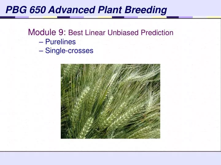 PPT - PBG 650 Advanced Plant Breeding PowerPoint Presentation, free ...