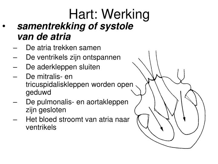PPT - Overzicht PowerPoint Presentation - ID:3793603