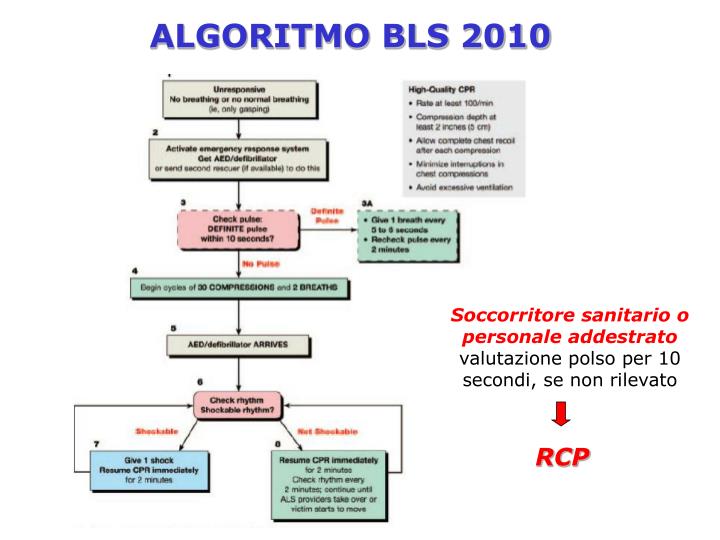 PPT - BLS PowerPoint Presentation - ID:3793937