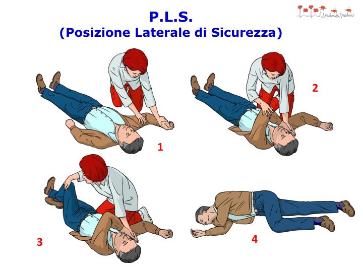 PPT - BLS PowerPoint Presentation - ID:3793937