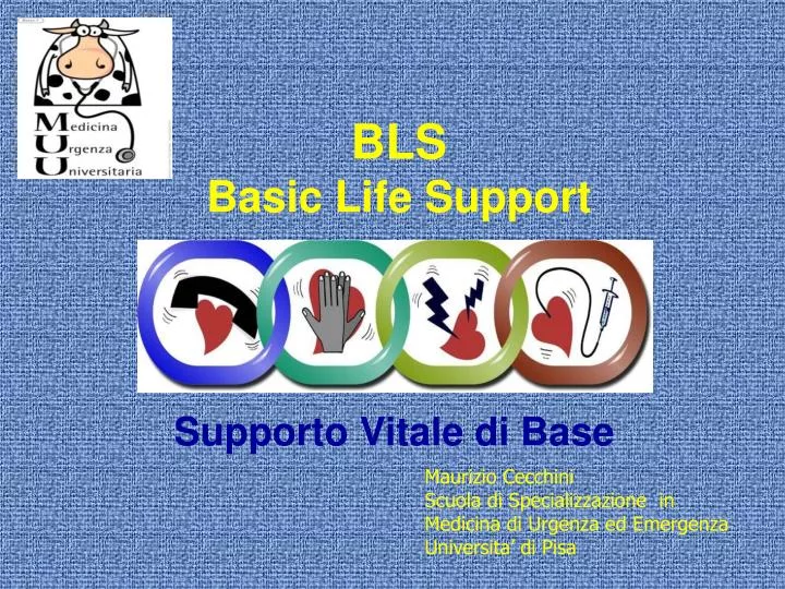 PPT - BLS Basic Life Support PowerPoint Presentation, free download - ID:3793938
