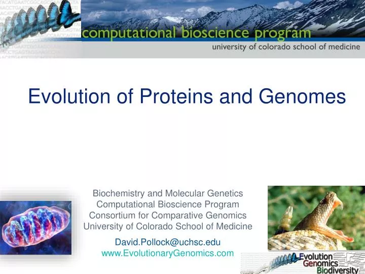 PPT - Evolution of Proteins and Genomes PowerPoint Presentation, free ...