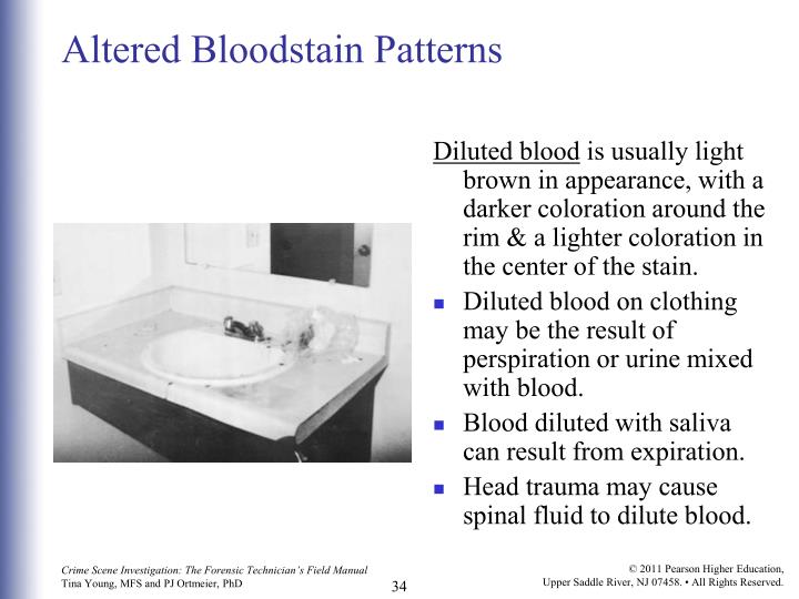 PPT - Chapter 11 BLOODSTAIN PATTERN DOCUMENTATION AND ANALYSIS ...