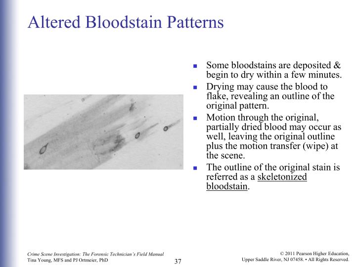PPT - Chapter 11 BLOODSTAIN PATTERN DOCUMENTATION AND ANALYSIS ...