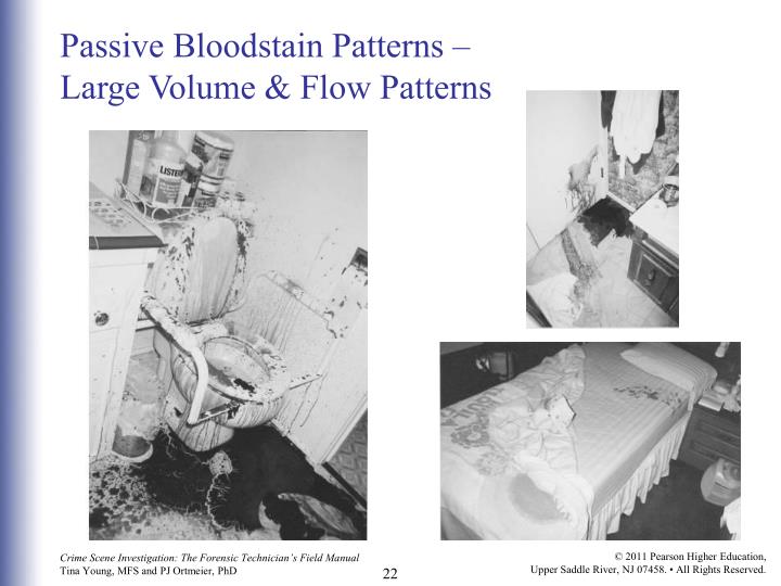 PPT - Chapter 11 BLOODSTAIN PATTERN DOCUMENTATION AND ANALYSIS ...