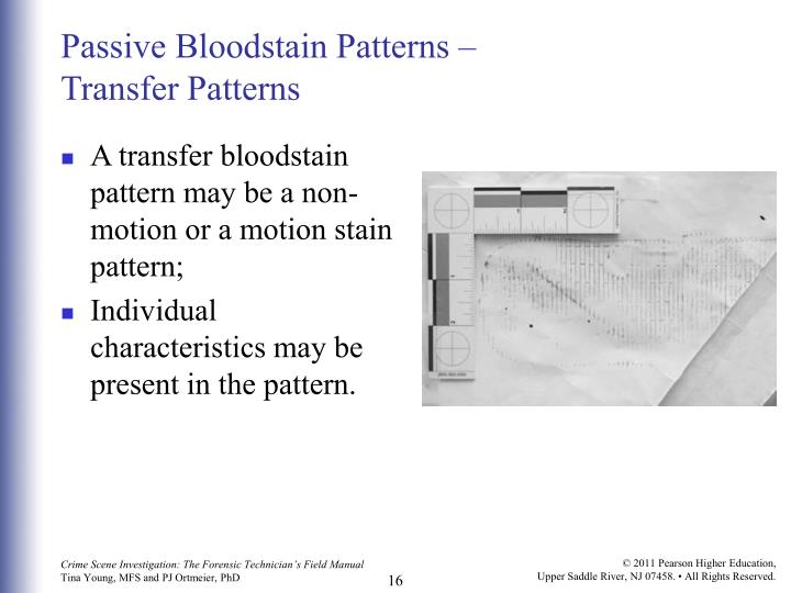 PPT - Chapter 11 BLOODSTAIN PATTERN DOCUMENTATION AND ANALYSIS ...