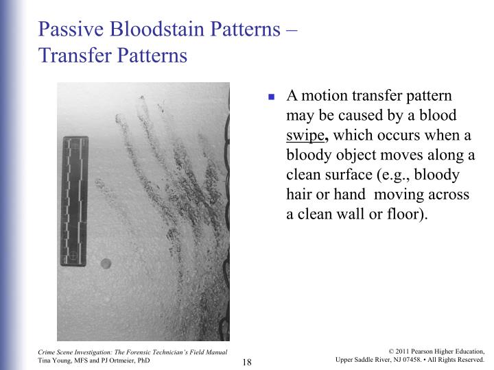 PPT - Chapter 11 BLOODSTAIN PATTERN DOCUMENTATION AND ANALYSIS ...