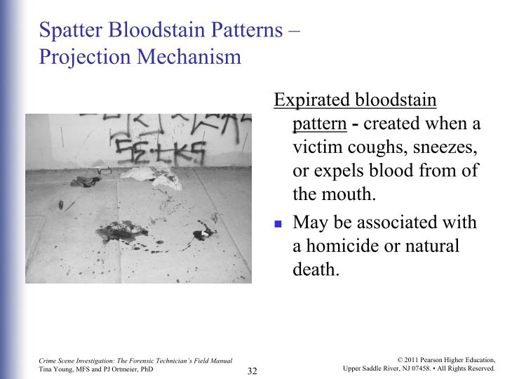 PPT - Chapter 11 BLOODSTAIN PATTERN DOCUMENTATION AND ANALYSIS ...