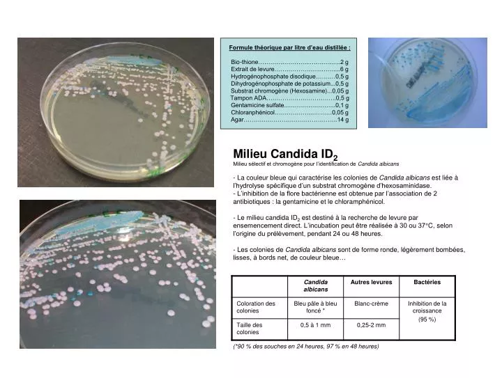 PPT - Milieu Candida ID 2 Milieu sélectif et chromogène pour l ...