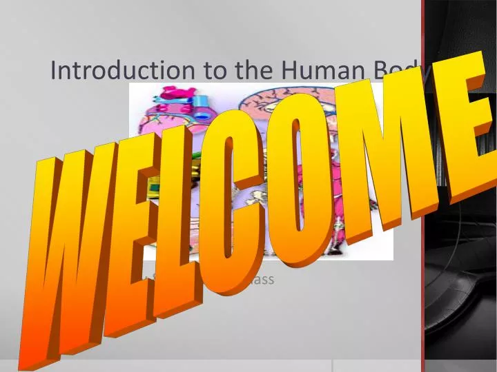 PPT - Introduction to the Human Body PowerPoint Presentation, free ...