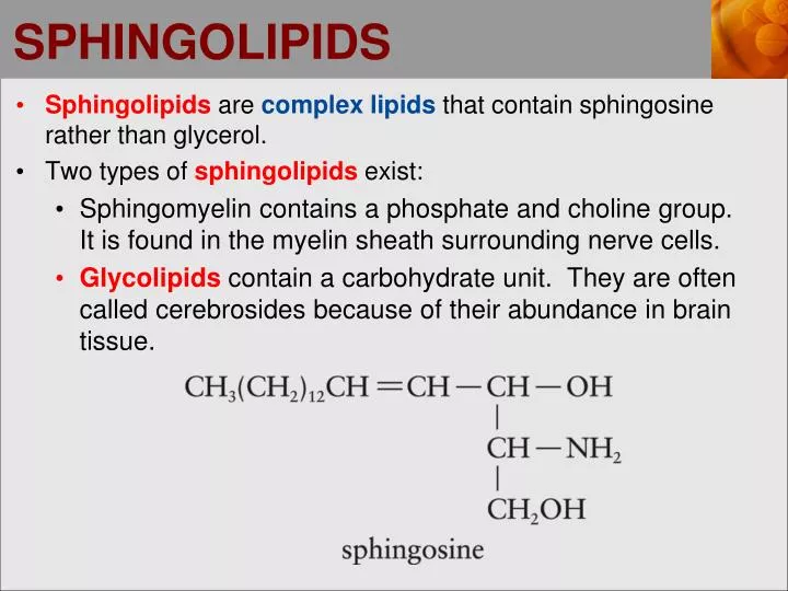 PPT - SPHINGOLIPIDS PowerPoint Presentation, free download - ID:3799980