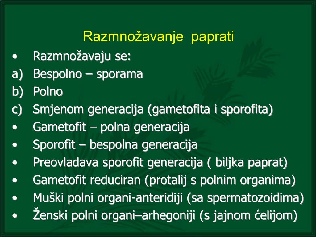 PPT - Nadcarstvo: Eucaryota Carstvo: Vegetabilia (biljke) Stablašice ...