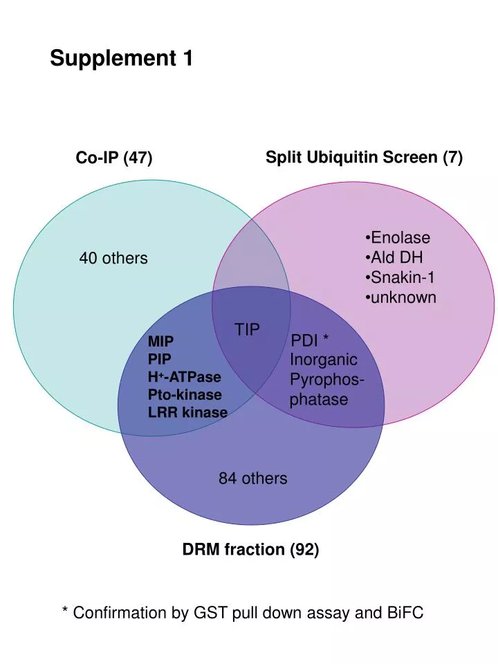 PPT - TIP PowerPoint Presentation, free download - ID:3800588