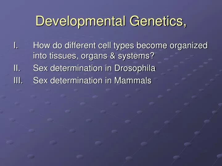 PPT - Developmental Genetics, PowerPoint Presentation, free download ...