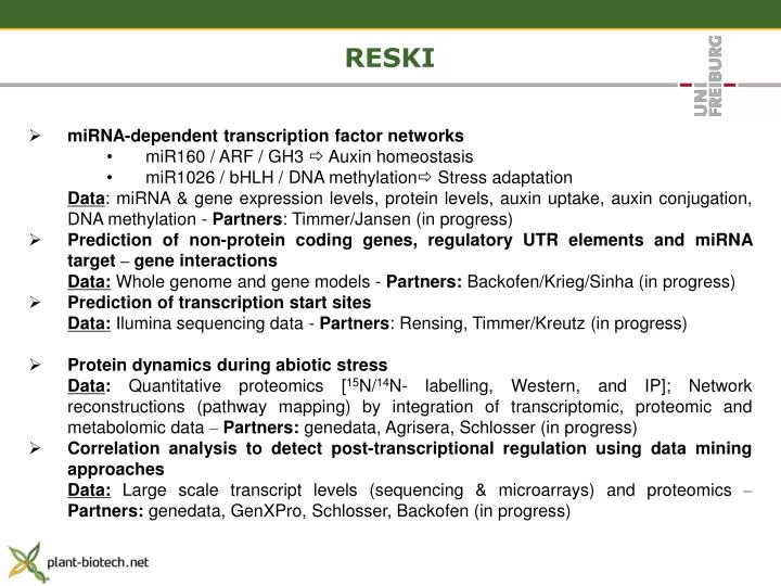 PPT - RESKI PowerPoint Presentation, free download - ID:3802200