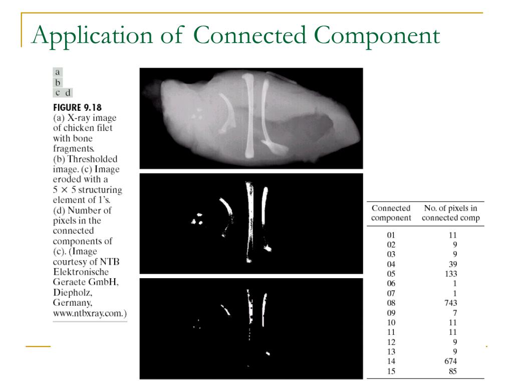 Ppt Digital Image Processing Lecture 15 Morphological Algorithms Powerpoint Presentation Id