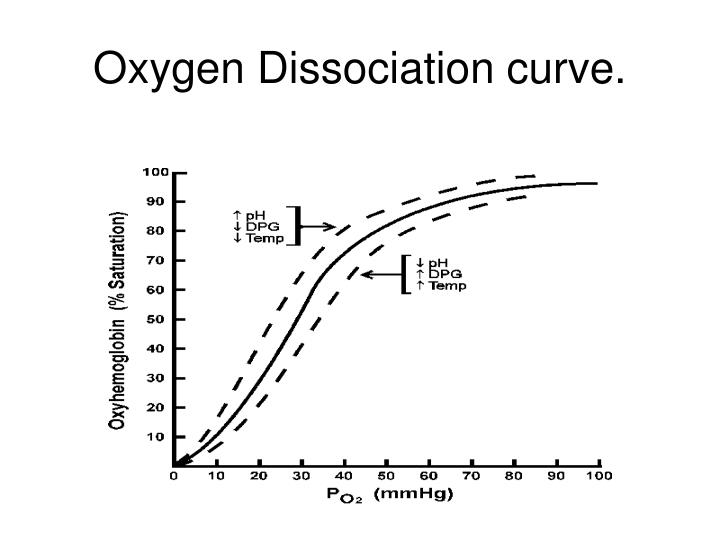 PPT - Carriage of Oxygen PowerPoint Presentation - ID:3803250